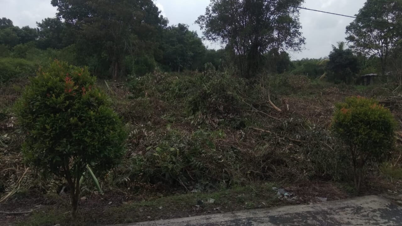 Tanah luas di Limbungan, Pekanbaru - Ray White Pekanbaru Kota